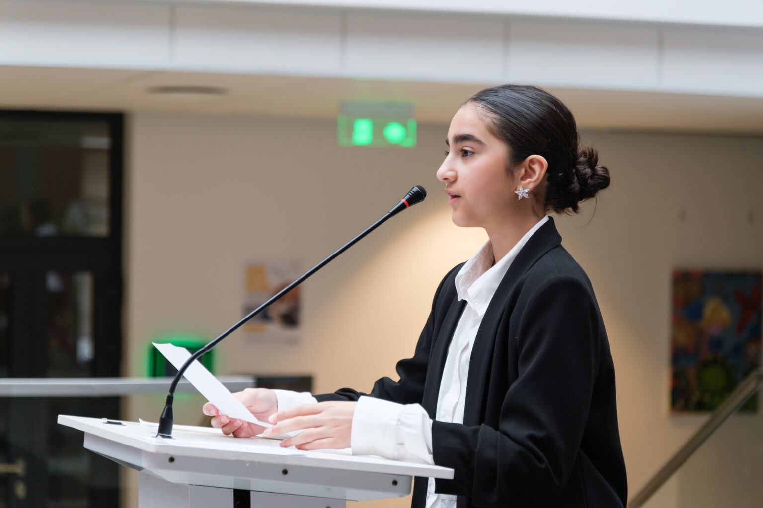 MUN conference at VIS - Vilnius International School